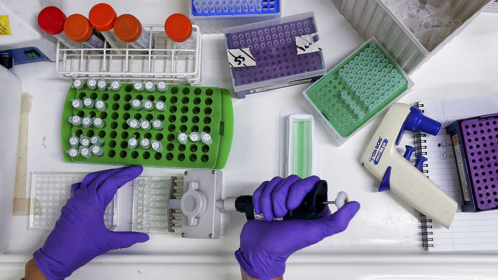 Biopredic Advancells: Biologicals for Translational Medicine Solutions